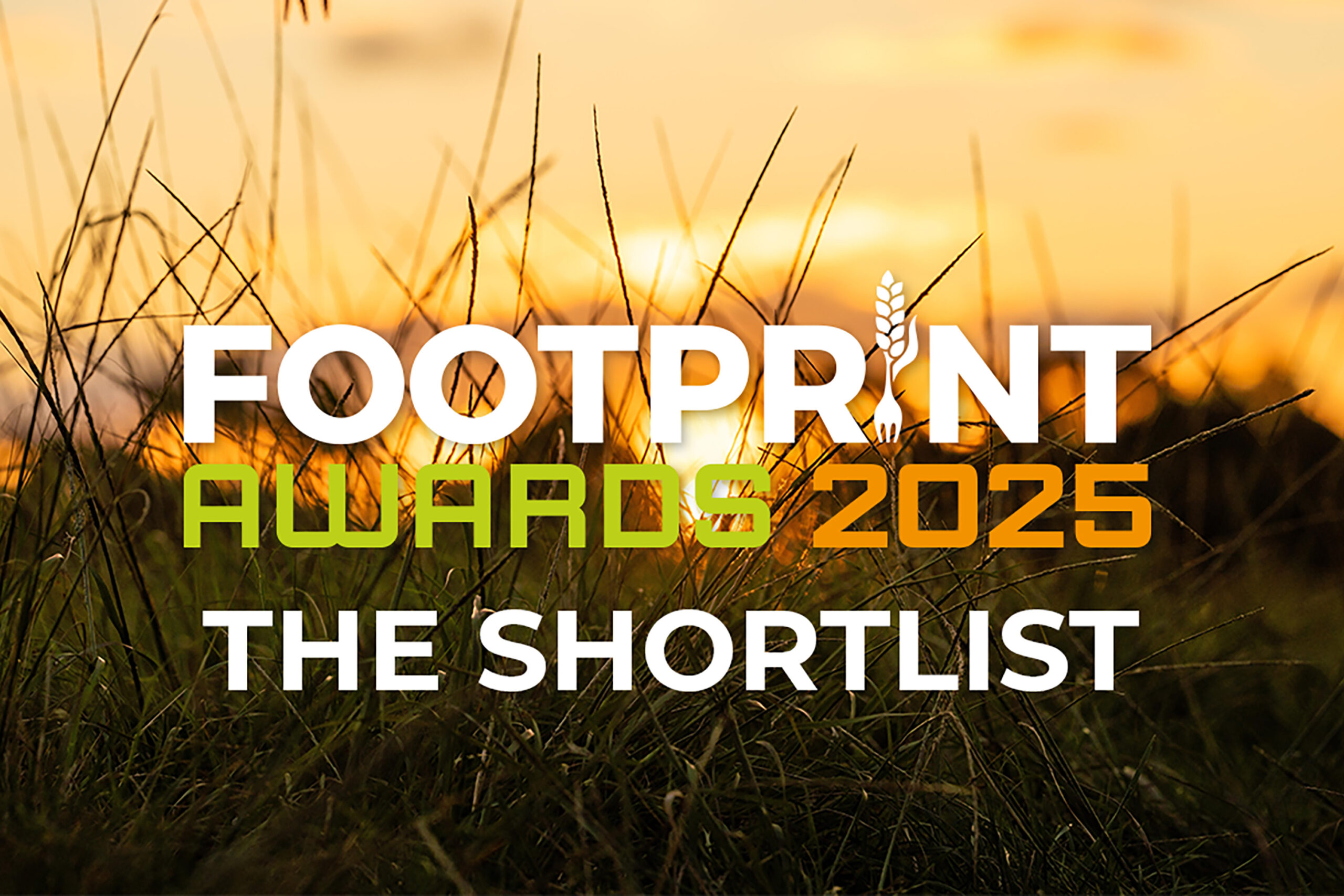 Kingfisher Foods are shortlisted at the 2025 Footprint Awards None | Kingfisher Foods
